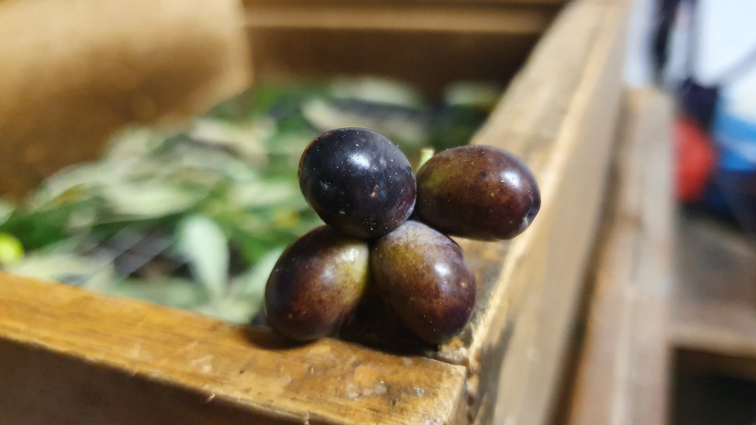 "UN VALORE PER IL TERRITORIO" - Quilianonline